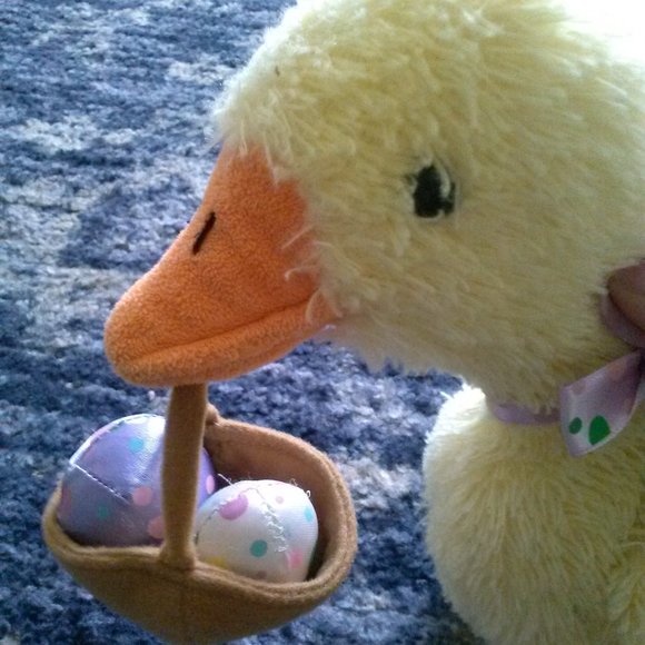 None | Toys | Easter Duck Stuffed Animal | Poshmark
